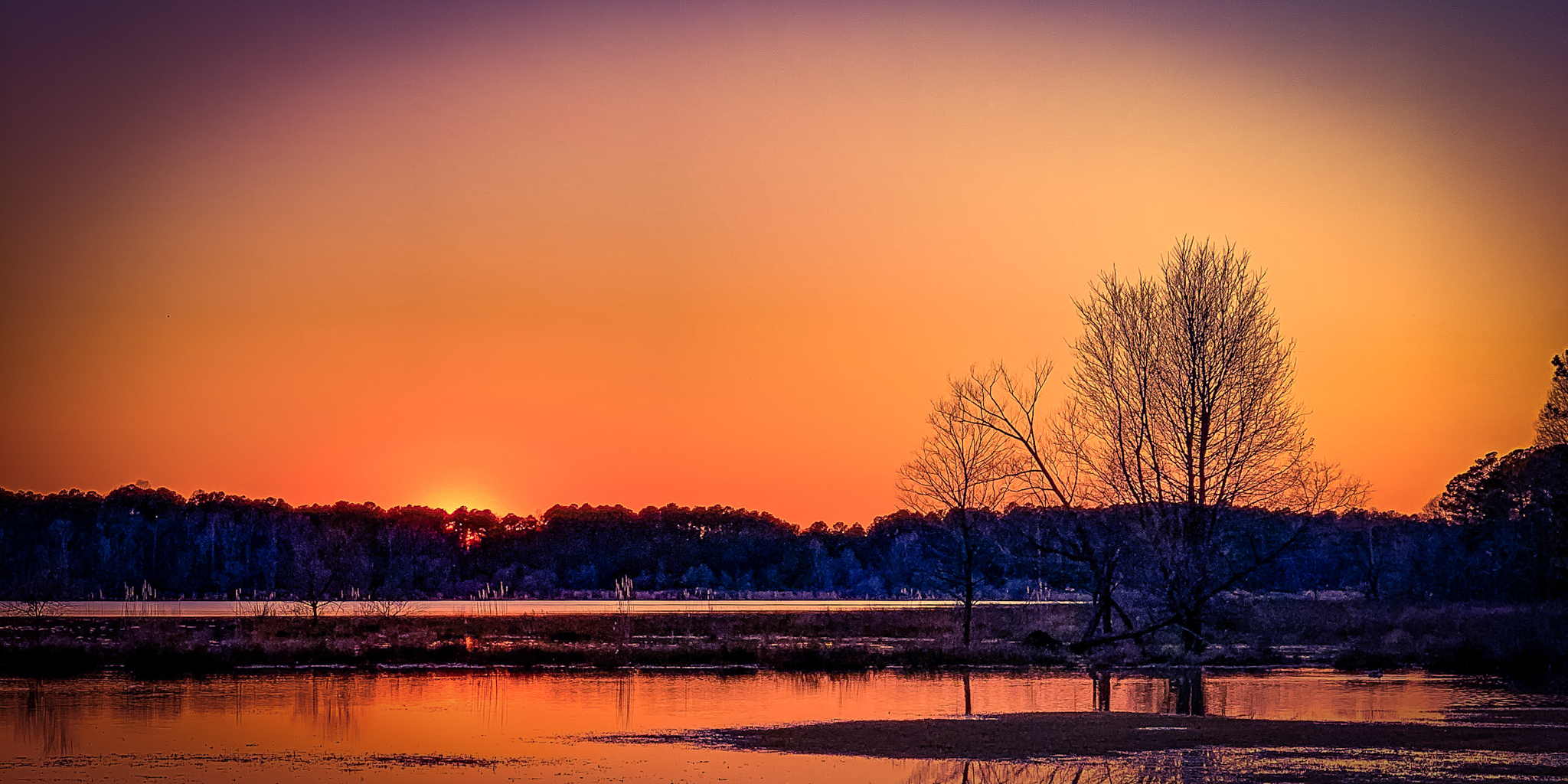 Humanity Lost by Meghan Douglass – Book Picks and Pics