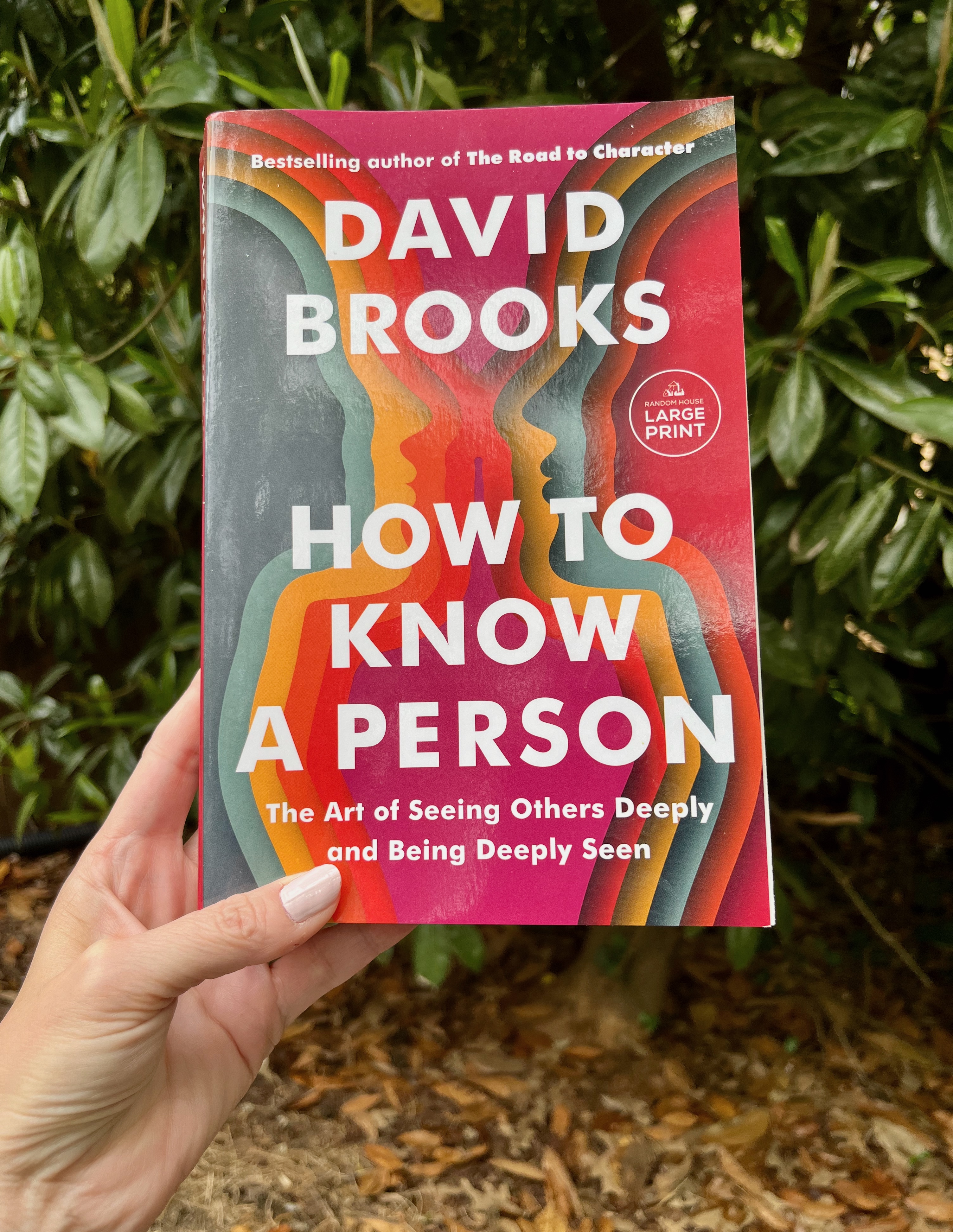 How to Know a Person by David Brooks – Book Picks and Pics